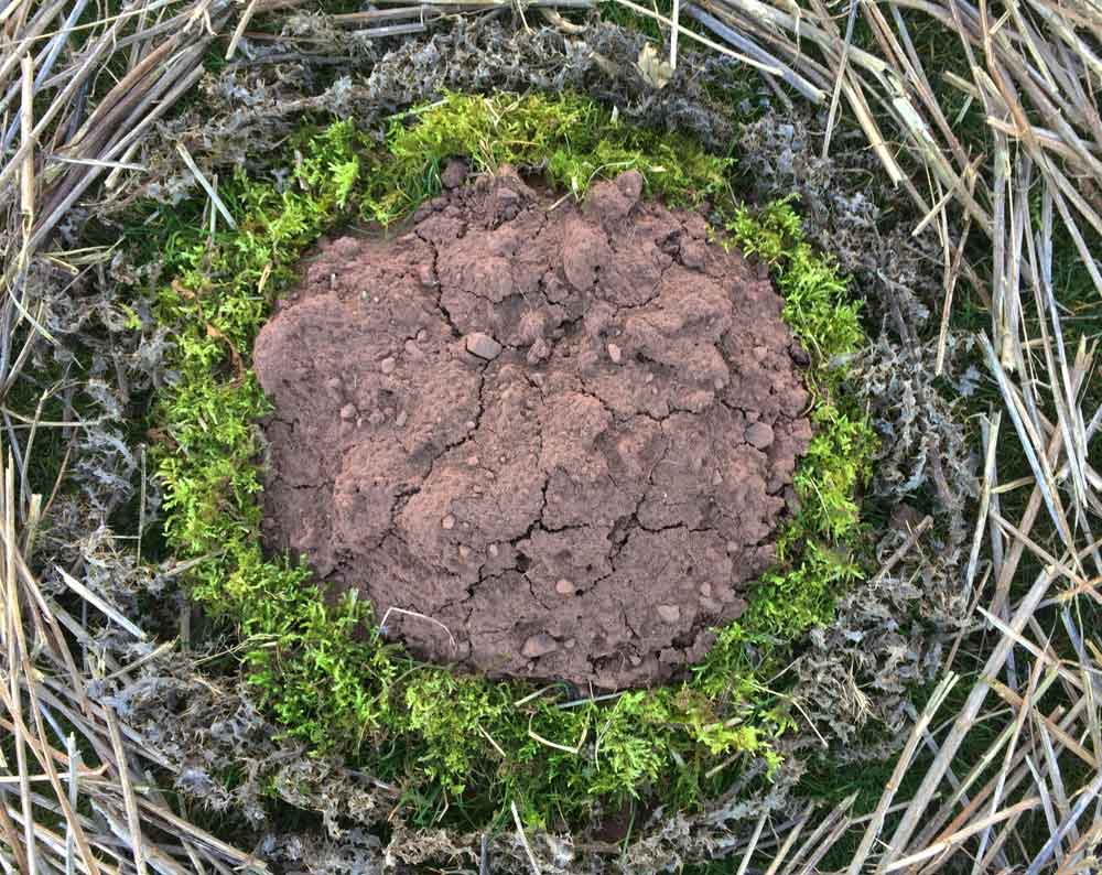 molehill drawing hatterall hill