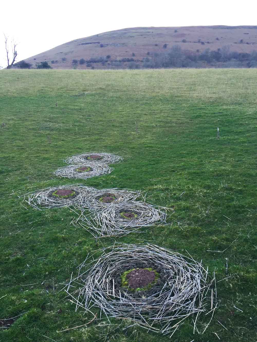 molehill drawing hatterall hill